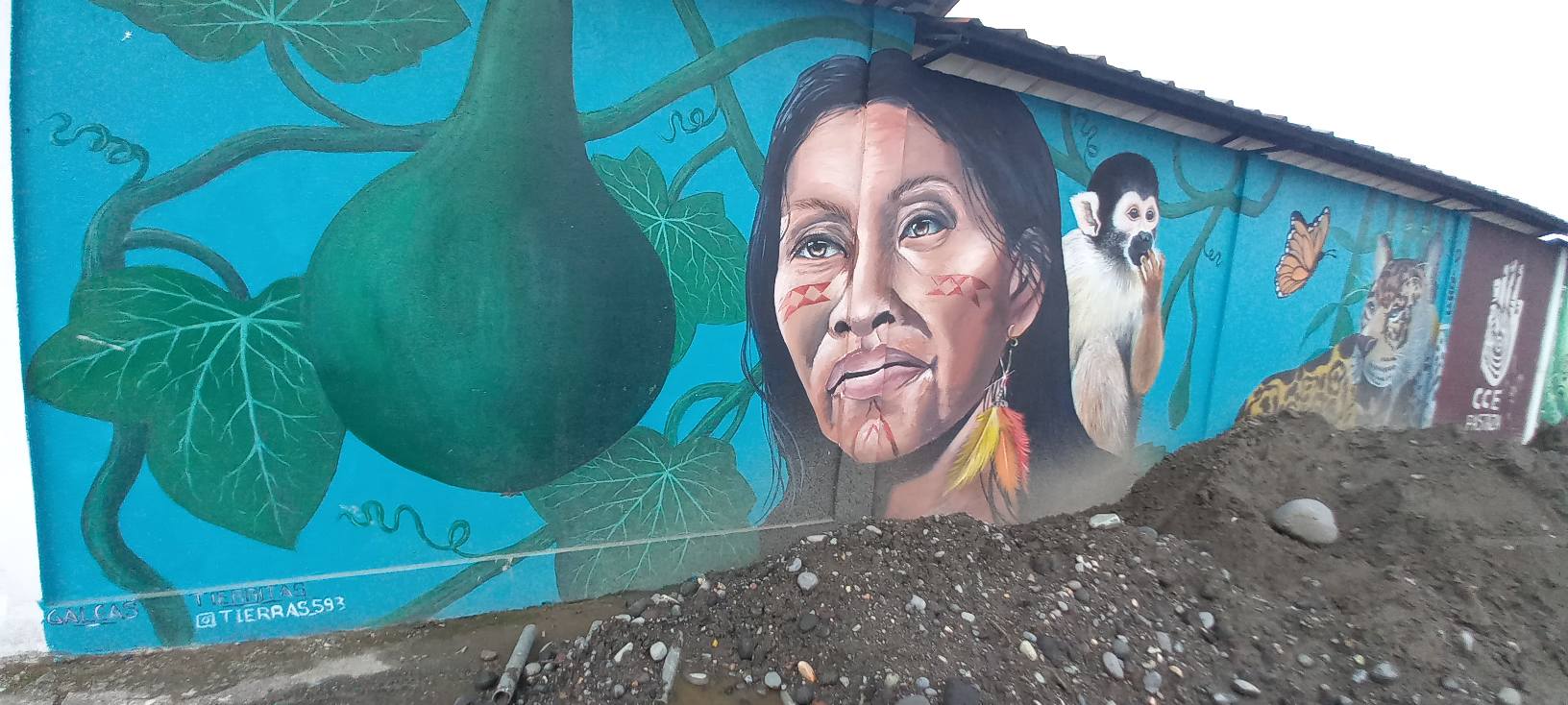 LOS COLORES DE MURALES EN LA AV. ALBERTO ZAMBRANO DAN ELEGANCIA ...